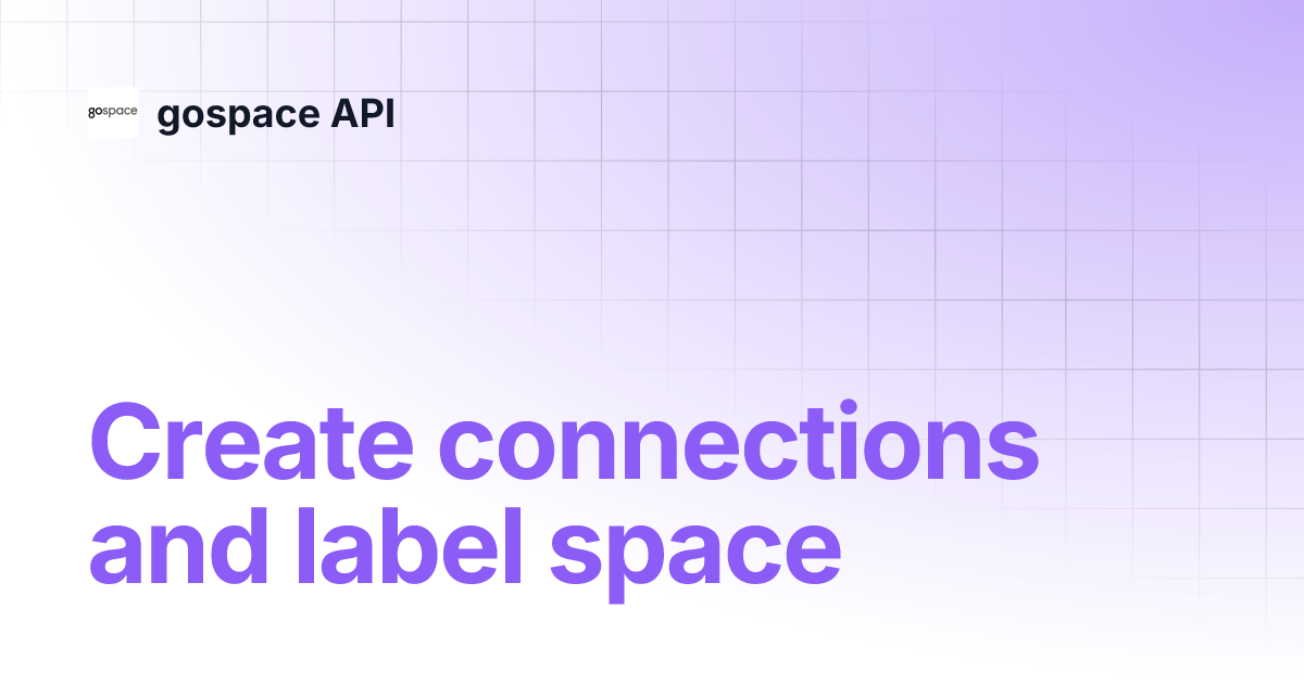 Create connections and label space | gospace API